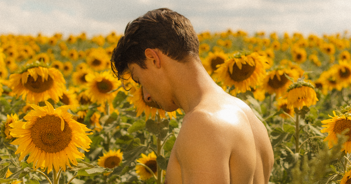 Sunflower - Marché du Film